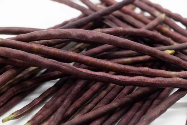 All About Red Noodle Beans - Minneopa Orchards