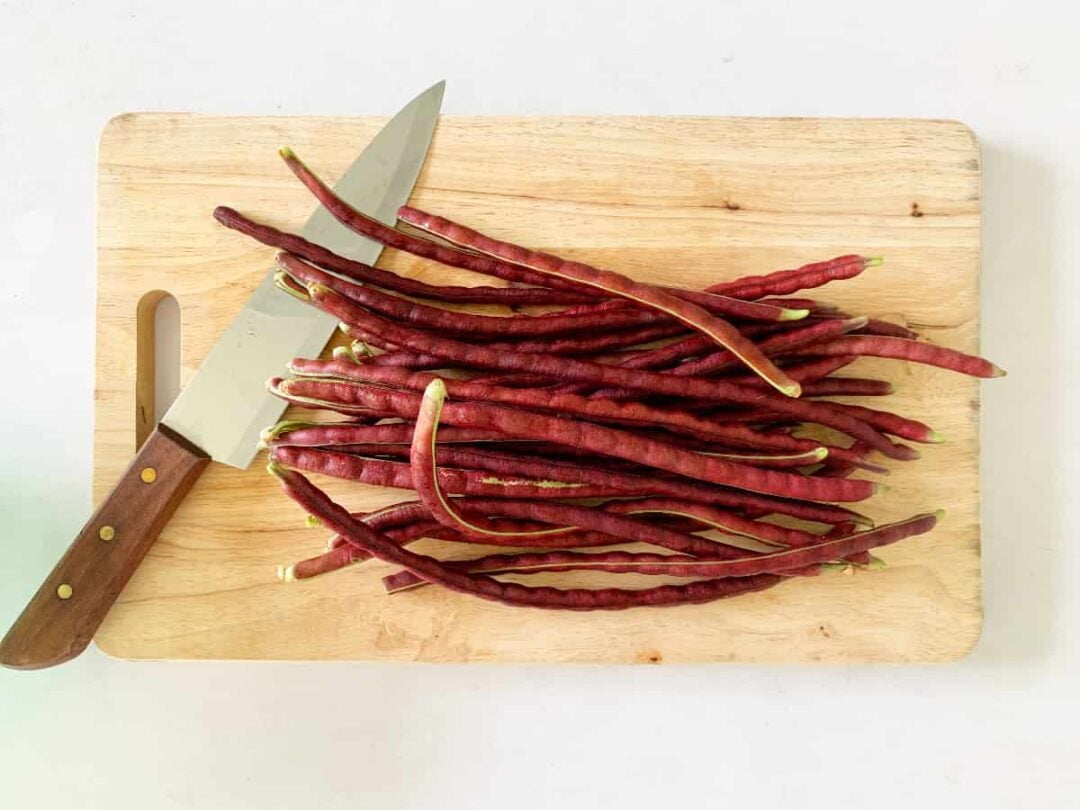 All About Red Noodle Beans - Minneopa Orchards