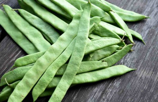 All About Roma II Beans - Minneopa Orchards