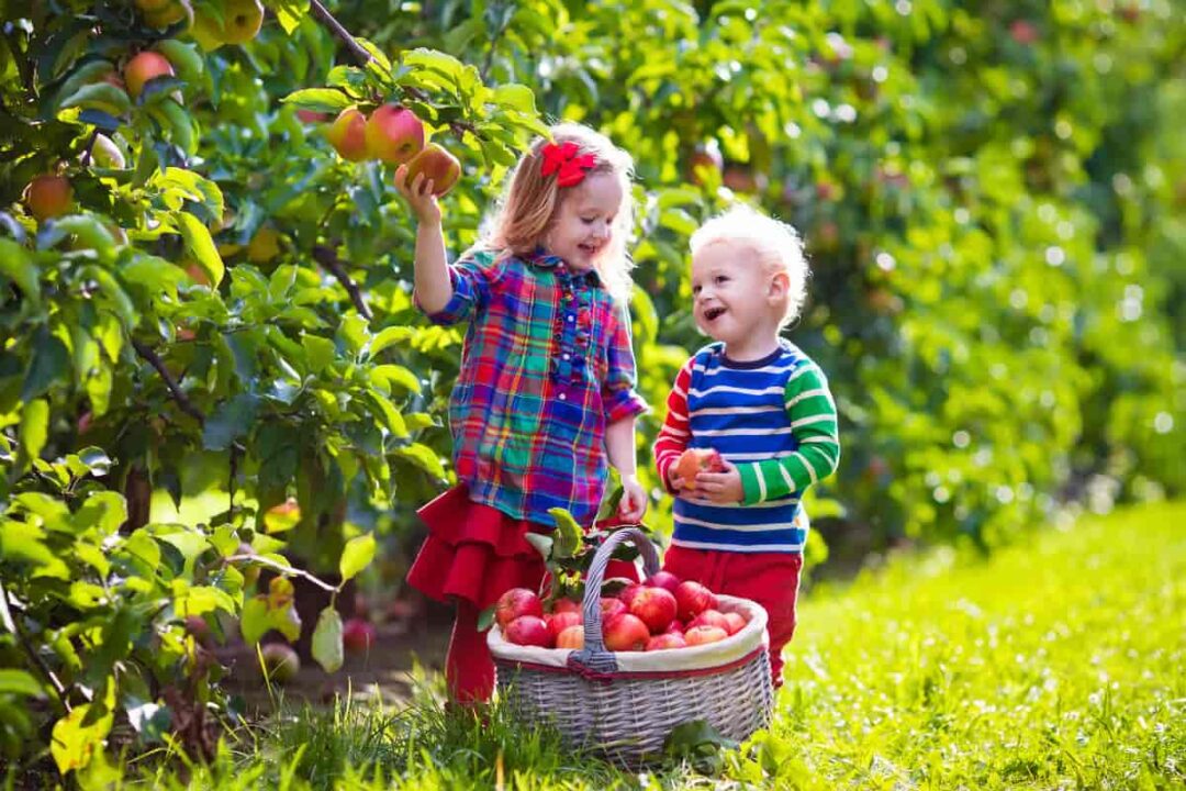 The Perfect Apple Picking Outfit - Minneopa Orchards