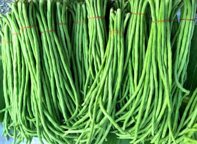 11 Kinds of Yard Long Beans - Minneopa Orchards