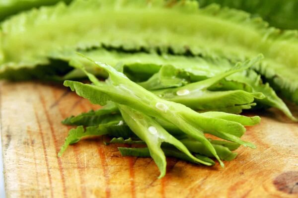 All About Winged Beans - Minneopa Orchards