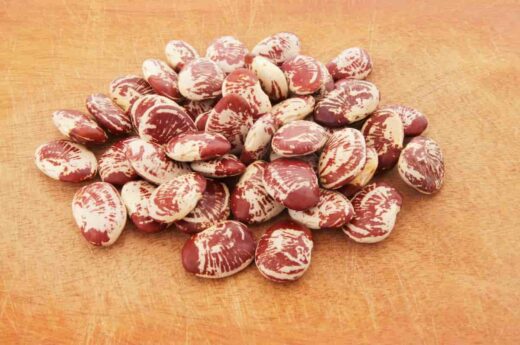 7 Kinds of Lima Beans to Know About - Minneopa Orchards