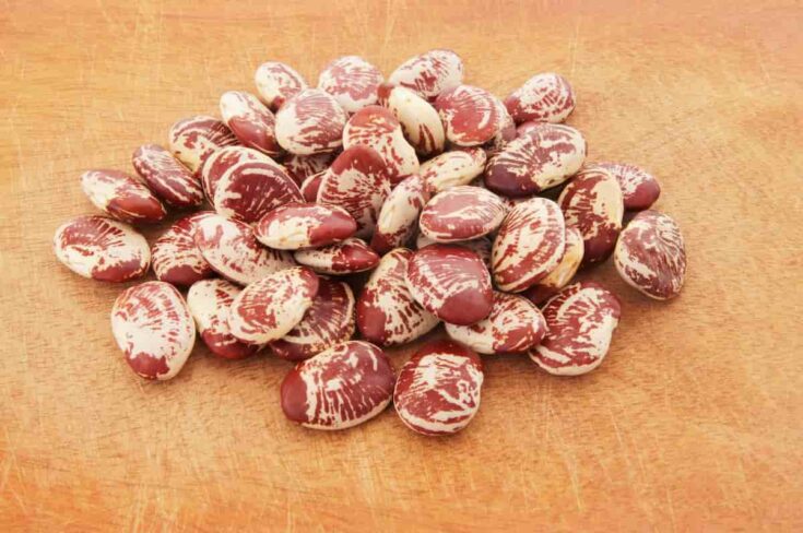 7 Kinds of Lima Beans to Know About - Minneopa Orchards