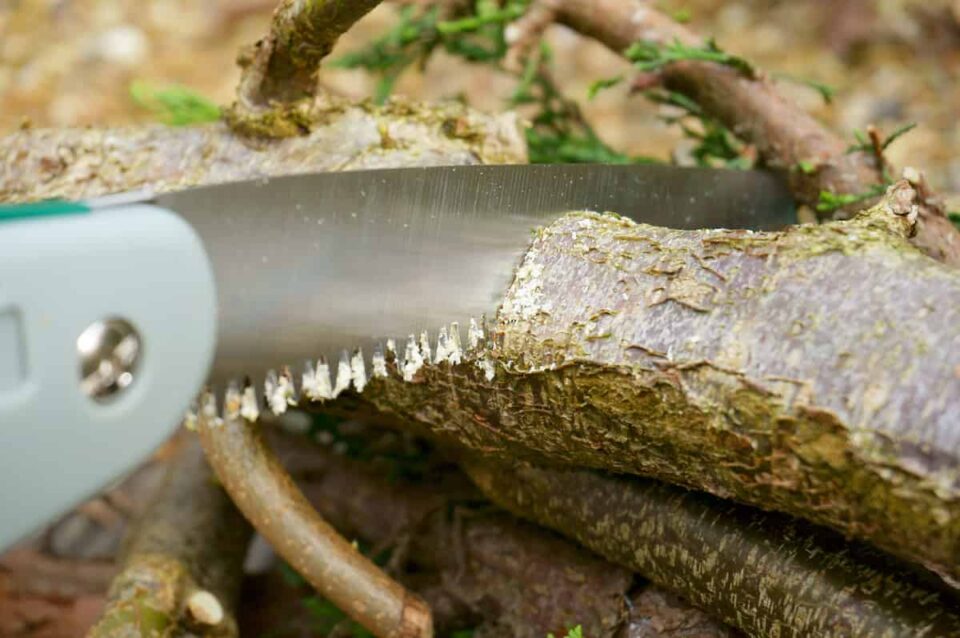 The 10 Best Pruning Saws - Minneopa Orchards