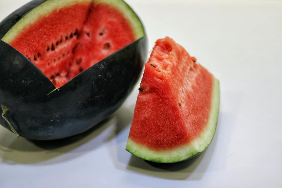 The Bush Sugar Baby Watermelon - Minneopa Orchards