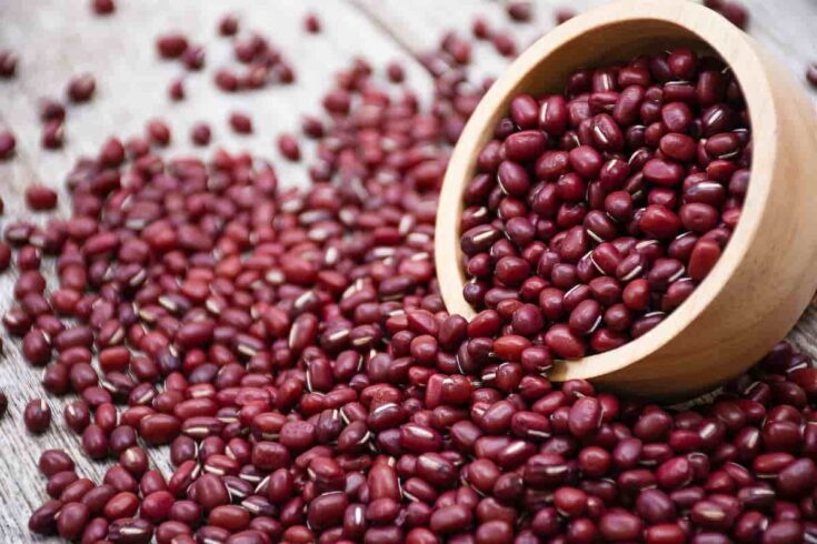 All About Adzuki Beans - Minneopa Orchards
