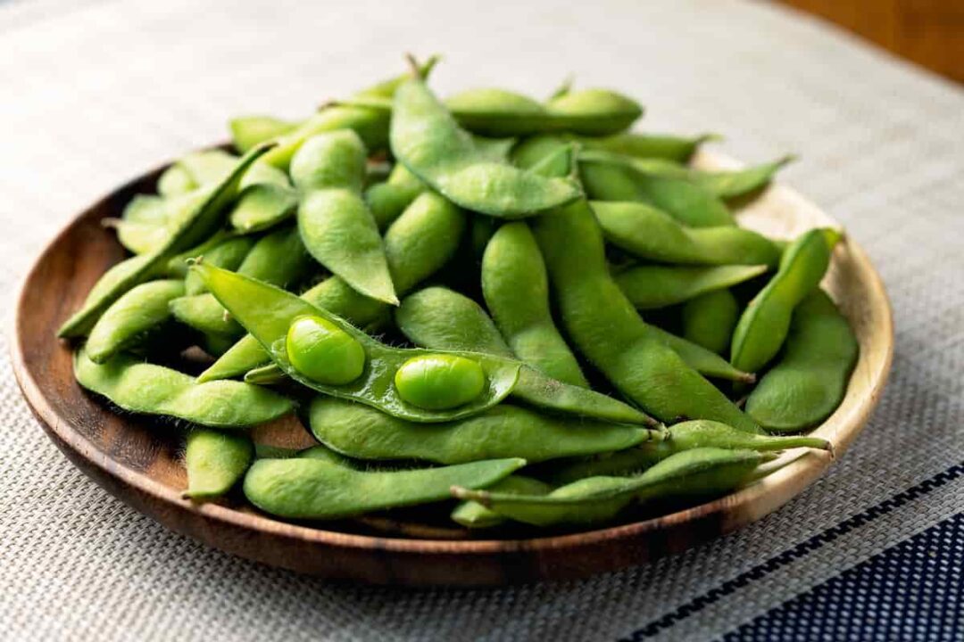 The Midori Giant Soybean - Minneopa Orchards