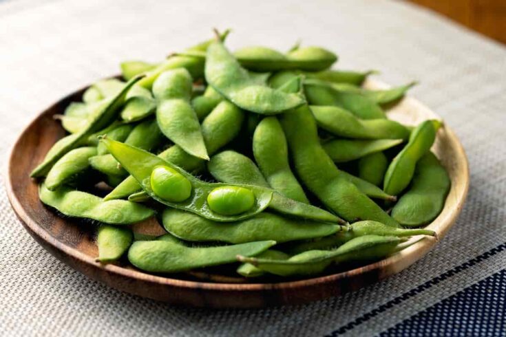 The Midori Giant Soybean - Minneopa Orchards