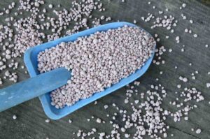 The Best Seed Starting Fertilizers - Minneopa Orchards