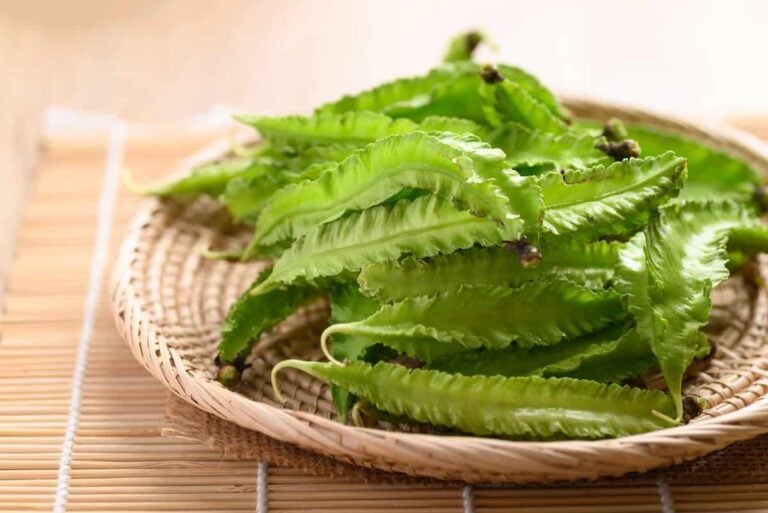 All About Winged Beans - Minneopa Orchards