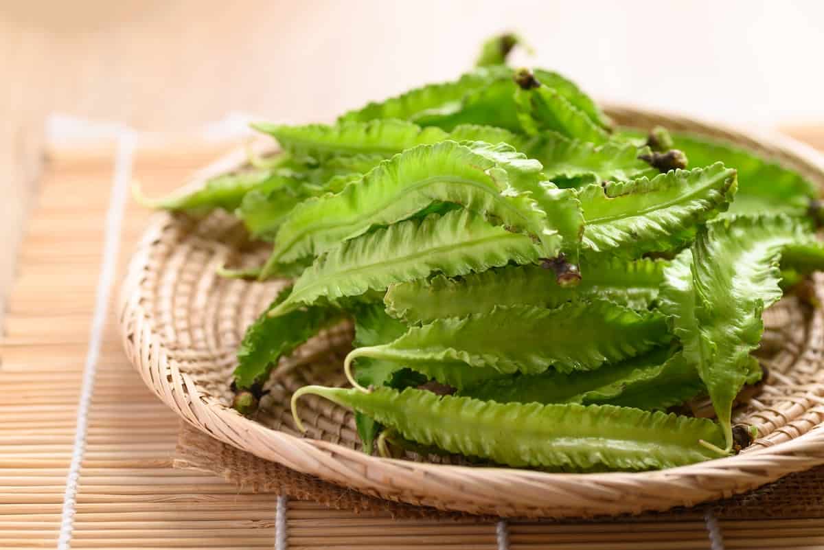 All About Winged Beans - Minneopa Orchards