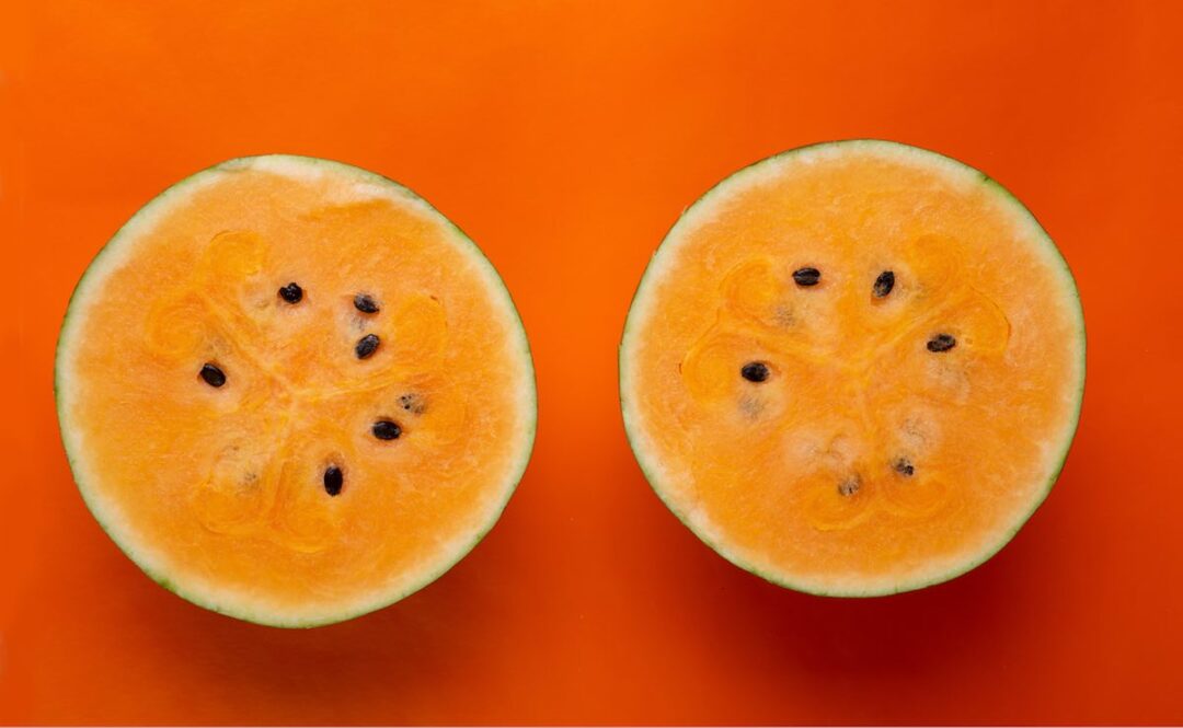 5 Important Things to Know About The Orange Crisp Watermelon - Minneopa ...