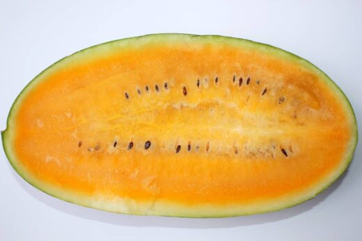 All About Orange Watermelons - Minneopa Orchards