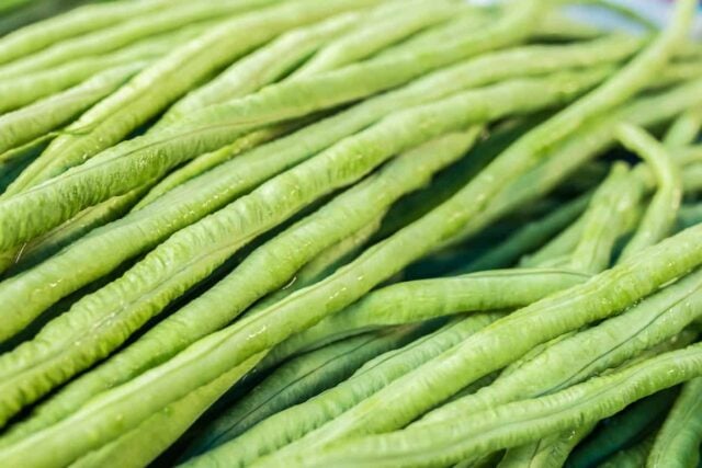11 Kinds of Yard Long Beans - Minneopa Orchards