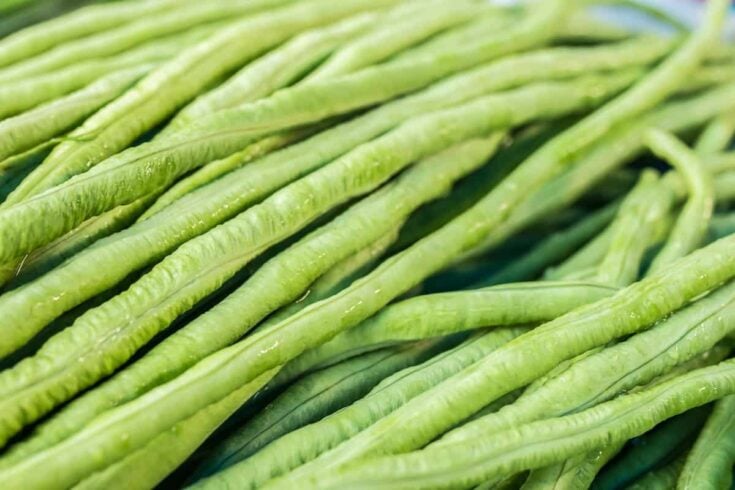 11 Kinds of Yard Long Beans - Minneopa Orchards