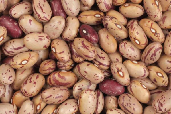 All About Pinto Beans - Minneopa Orchards