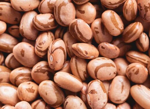 All About Pinto Beans - Minneopa Orchards