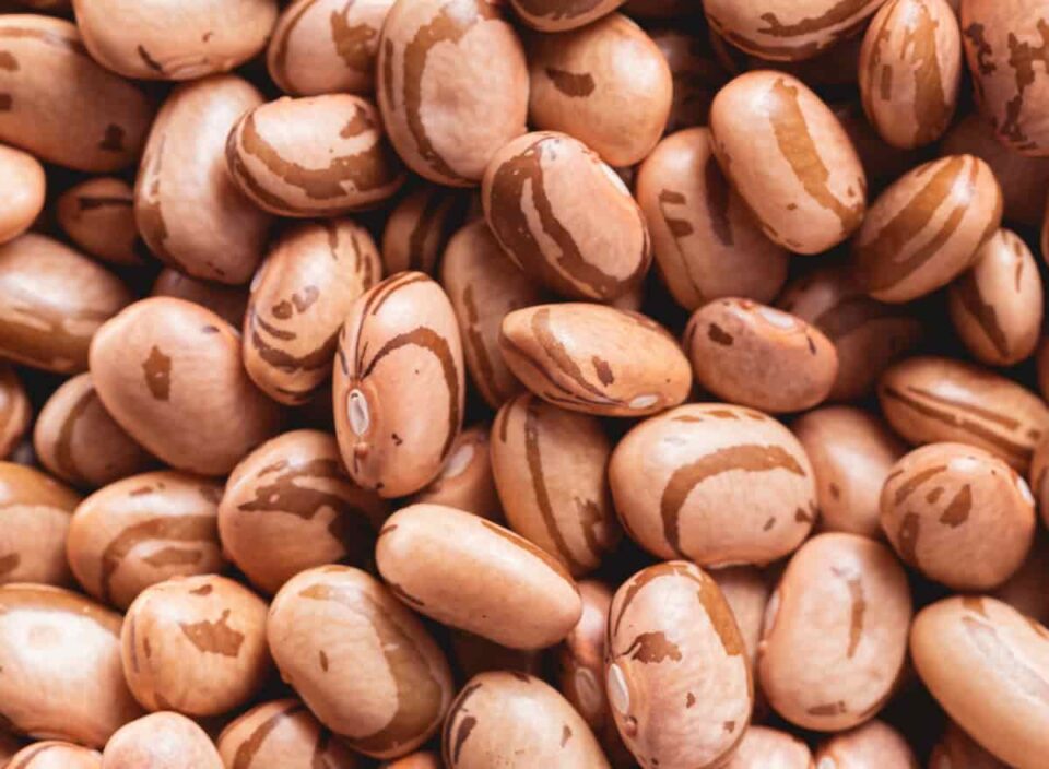 All About Pinto Beans - Minneopa Orchards