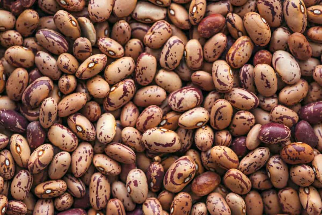All About Pinto Beans - Minneopa Orchards