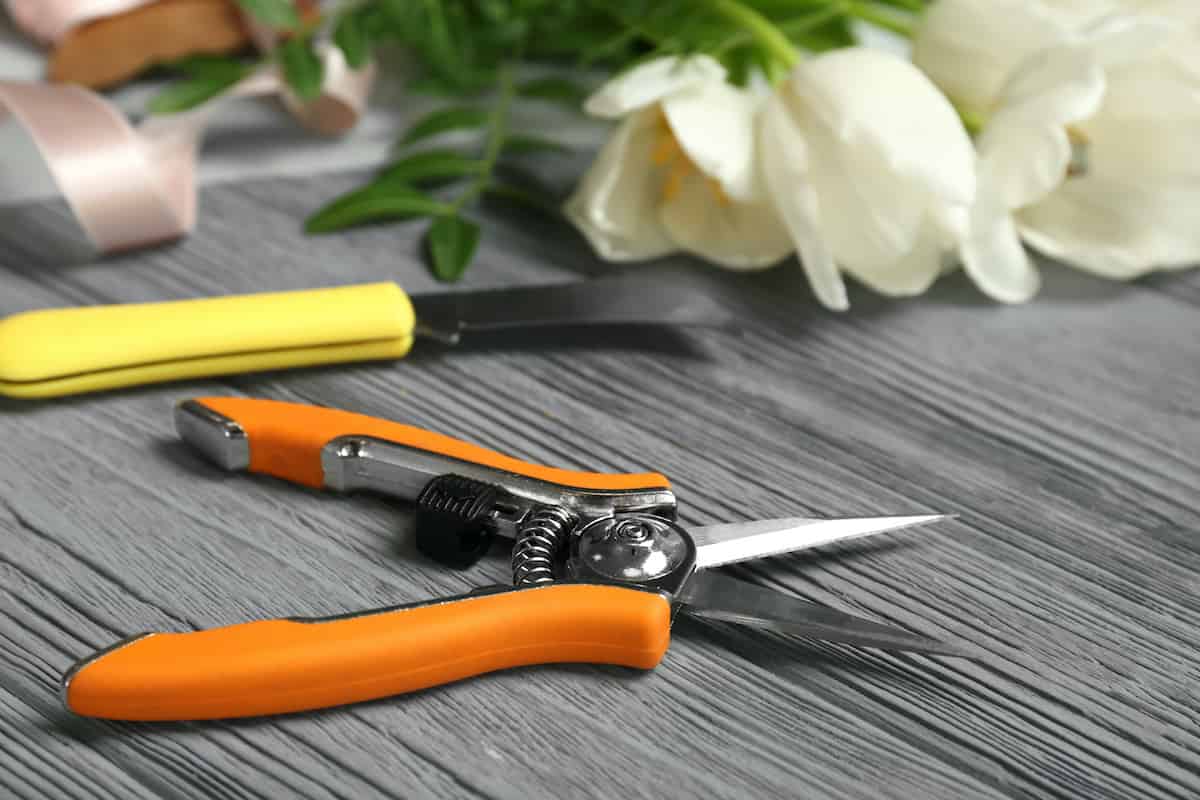 The 11 Best Pruning Shears for Home Gardeners - Minneopa Orchards