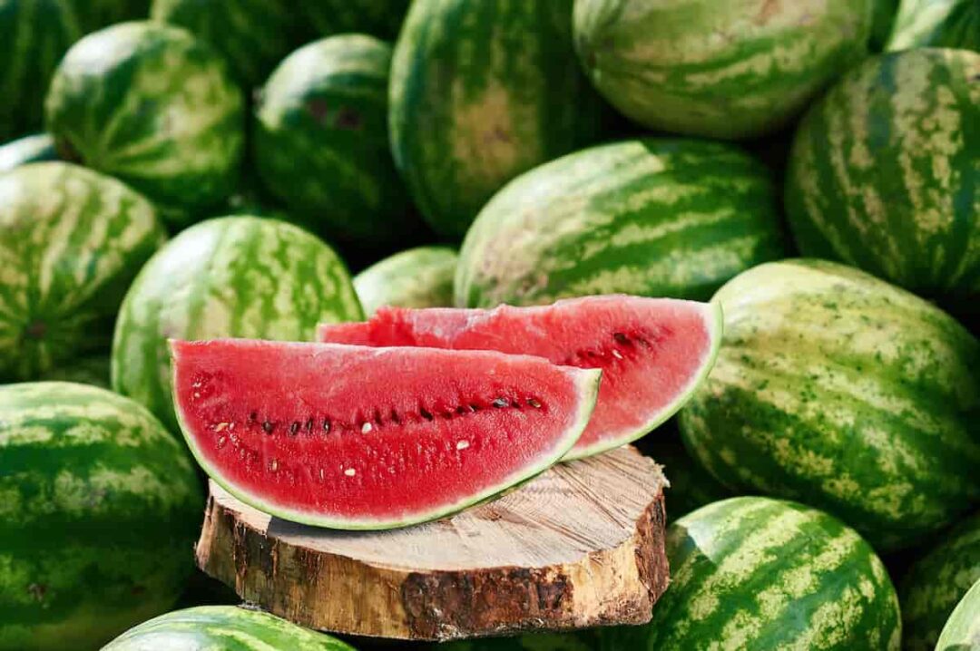 The Sweet Beauty Watermelon - Minneopa Orchards