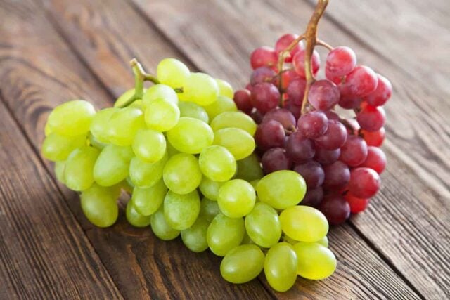 The Best Grape Press for Home Growers - Minneopa Orchards