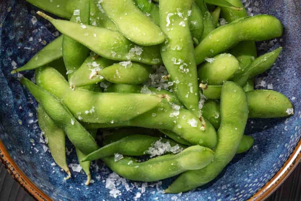 The Midori Giant Soybean - Minneopa Orchards