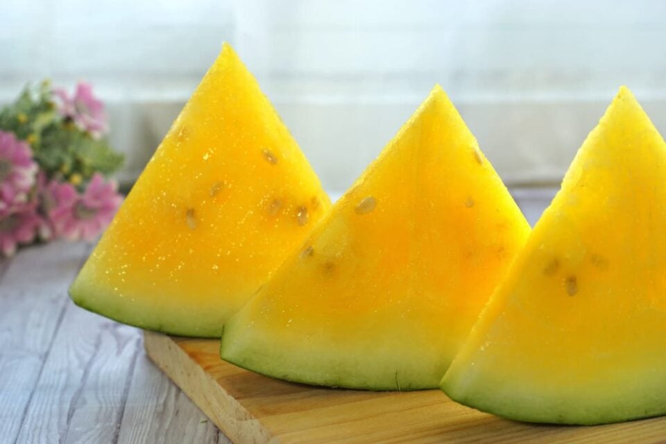 All About Seedless Watermelons - Minneopa Orchards