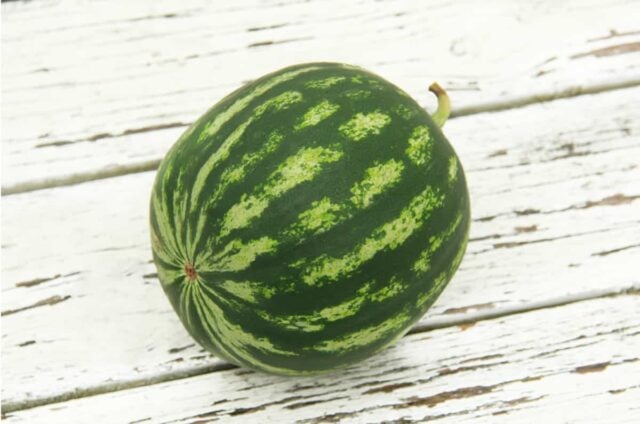 White Flesh Watermelon - Minneopa Orchards