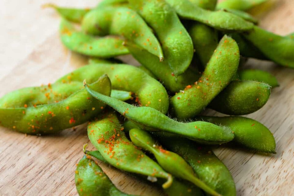 The Midori Giant Soybean - Minneopa Orchards