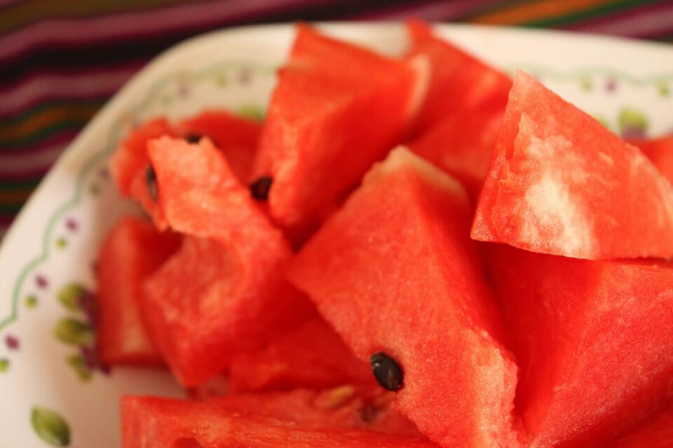 The Sweet Beauty Watermelon - Minneopa Orchards