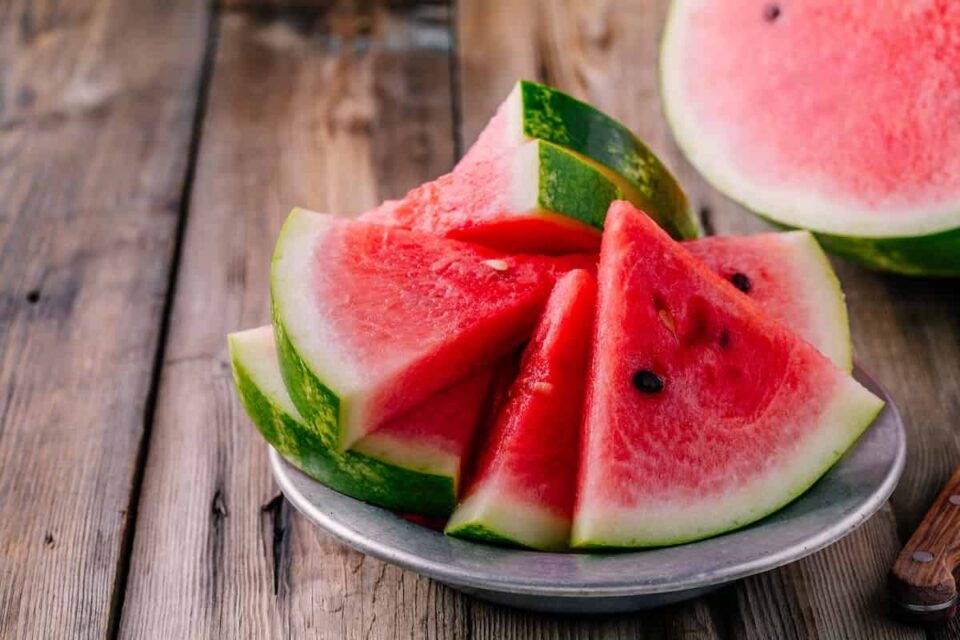 The Klondike Blue Watermelon - Minneopa Orchards The Klondike Blue Watermelon - Minneopa Orchards