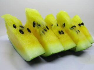 All About Icebox Watermelons - Minneopa Orchards