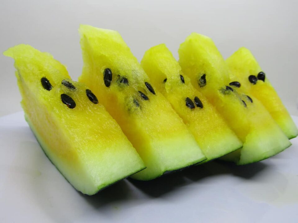 All About Icebox Watermelons - Minneopa Orchards