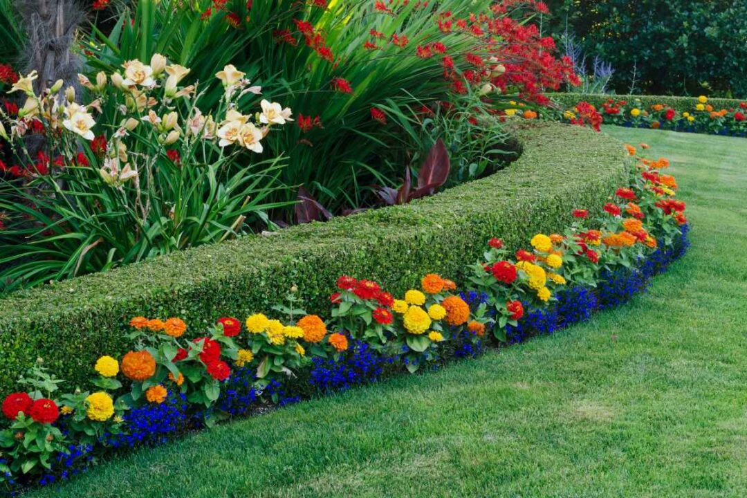 8 Beautiful Zinnia Garden Ideas You Can Re-Create at Home - Minneopa ...