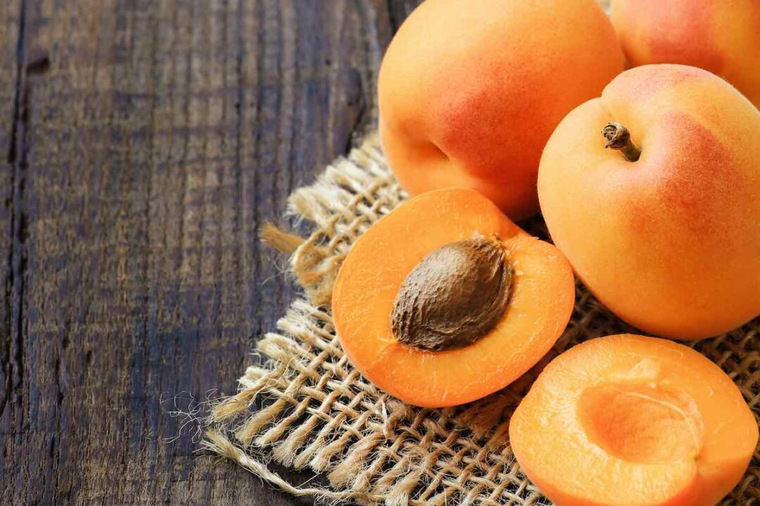How to Store Apricots: The 3 Best Ways To Keep Apricots Fresh ...