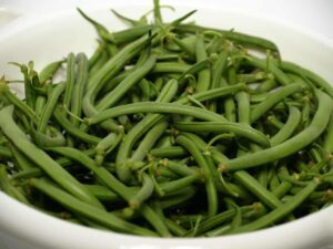 All About Contender Bush Beans - Minneopa Orchards