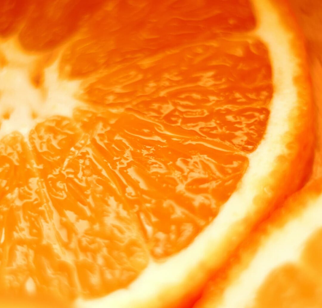 The Golden Nugget Tangerine Tree - Minneopa Orchards