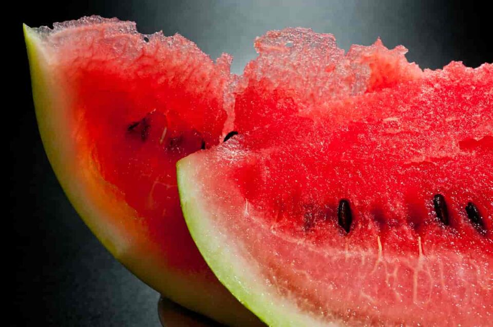 All About the Florida Giant Watermelon - Minneopa Orchards