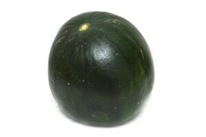 The Blacktail Mountain Watermelon - Minneopa Orchards