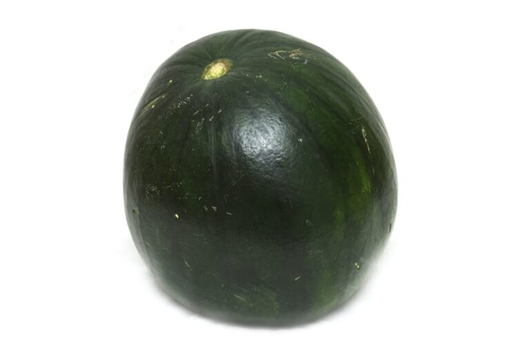 The Blacktail Mountain Watermelon - Minneopa Orchards