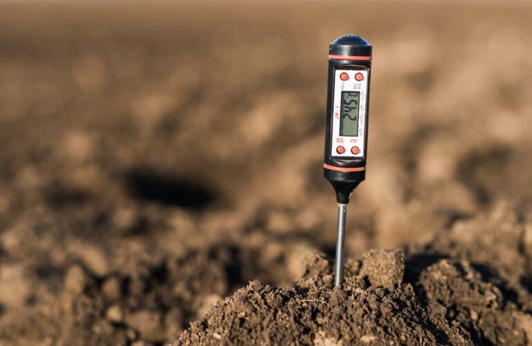 10 Picks for the Best Soil pH Tester for Gardening - Minneopa Orchards