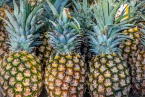 All About the Sugarloaf Pineapple - Minneopa Orchards