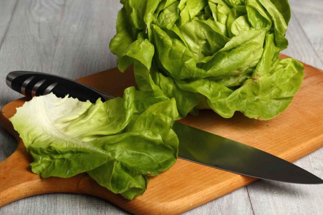 Tom Thumb Lettuce: How to Plant, Grow, and Eat This Delicious Leafy ...