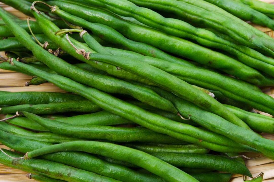 3 Important Facts About Kentucky Wonder Pole Beans - Minneopa Orchards