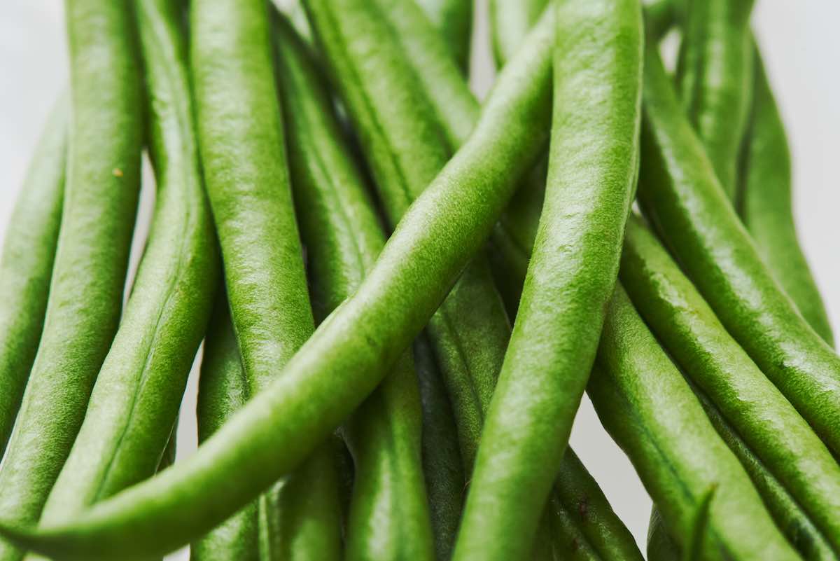 3 Important Facts About Kentucky Wonder Pole Beans - Minneopa Orchards