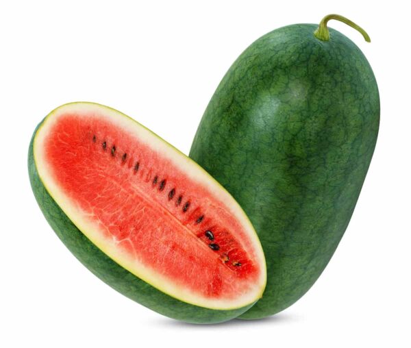 7 Kinds of Giant Watermelons - Minneopa Orchards
