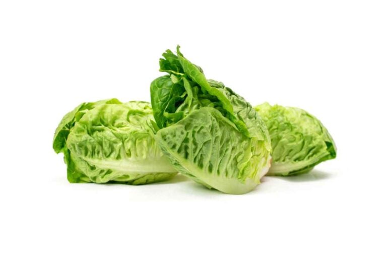 Little Gem Lettuce: How to Plant, Grow, and Enjoy This Delicious Leafy ...