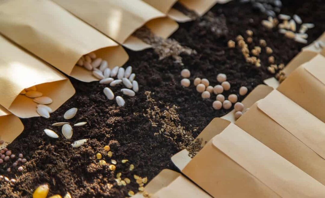 How to Create a Seed Starting Calendar - Minneopa Orchards